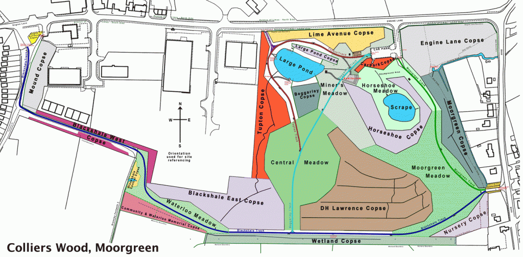 Site Information | Friends of Colliers Wood Site Information | Friends of Colliers Wood